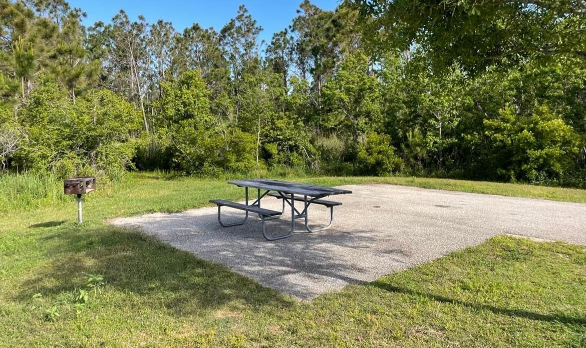 RV and Primitive Campground | Alapark